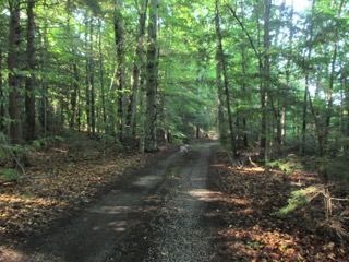 About – Come From Away