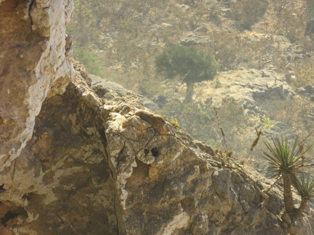 Images of Dhofar – Various Photographers – Come From Away