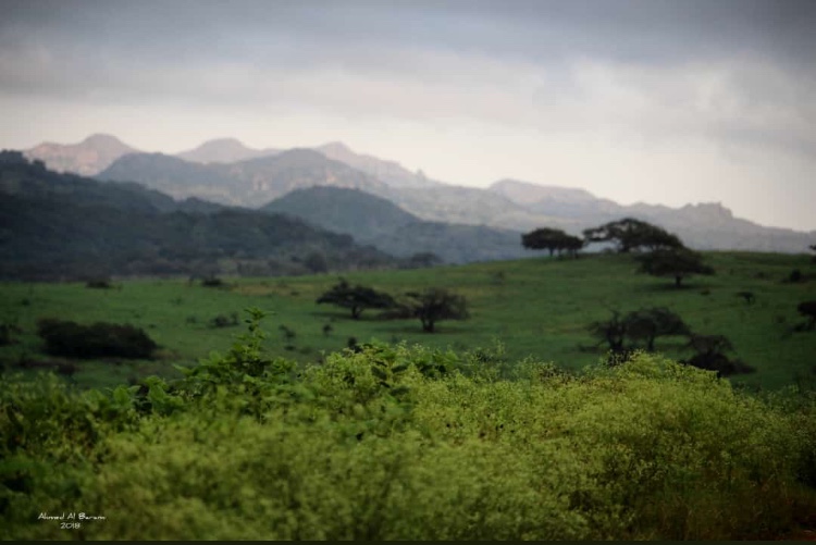 Food Tastes Better in the Rain – Khareef in Salalah – Come From Away