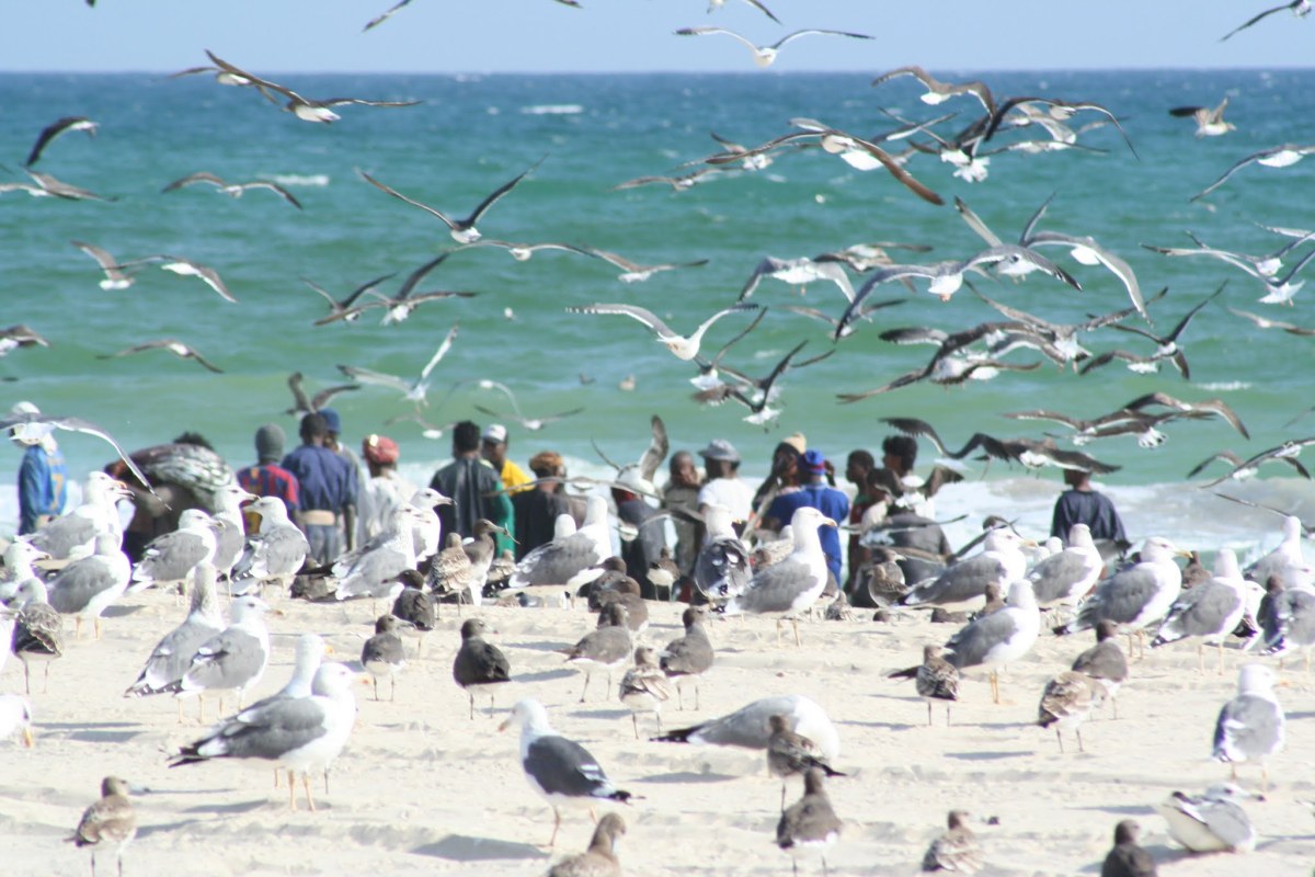 Foodways: Data for my presentation “The Costs and Benefits of Fishing ...