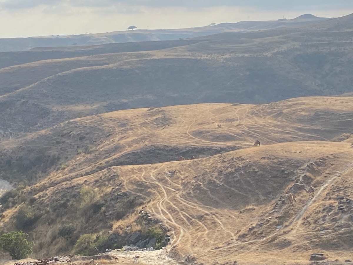 Pre-historical and Historical Houseways in the Dhofar Region: Selected ...