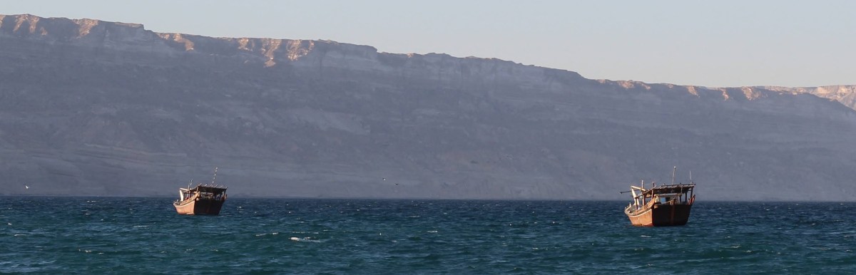 I am happy to announce that I will be presenting about the research ...