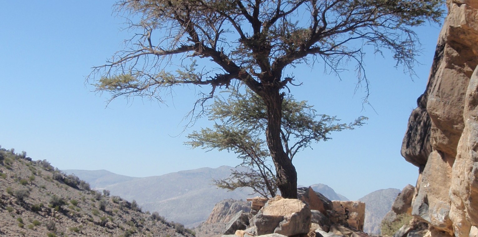 Steve Cass – Come From Away