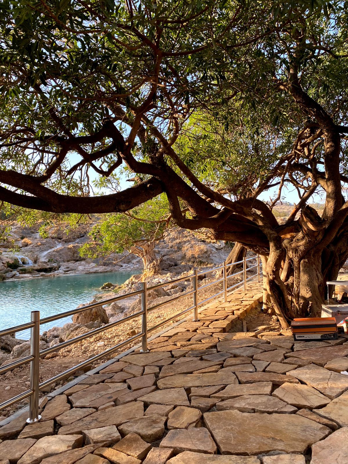 A good poem for hard times – “Atlas” by U. A. Fanthorpe – Come From Away